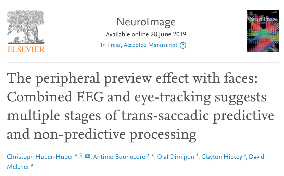 Article in press on NeuroImage! | Dr Antimo Buonocore