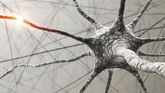 Nature Communications Editors’ Highlights | Dr Antimo Buonocore