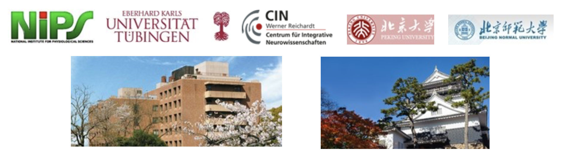 The 9th Okazaki-Tübingen-Beijing Joint Symposium | Dr Antimo Buonocore