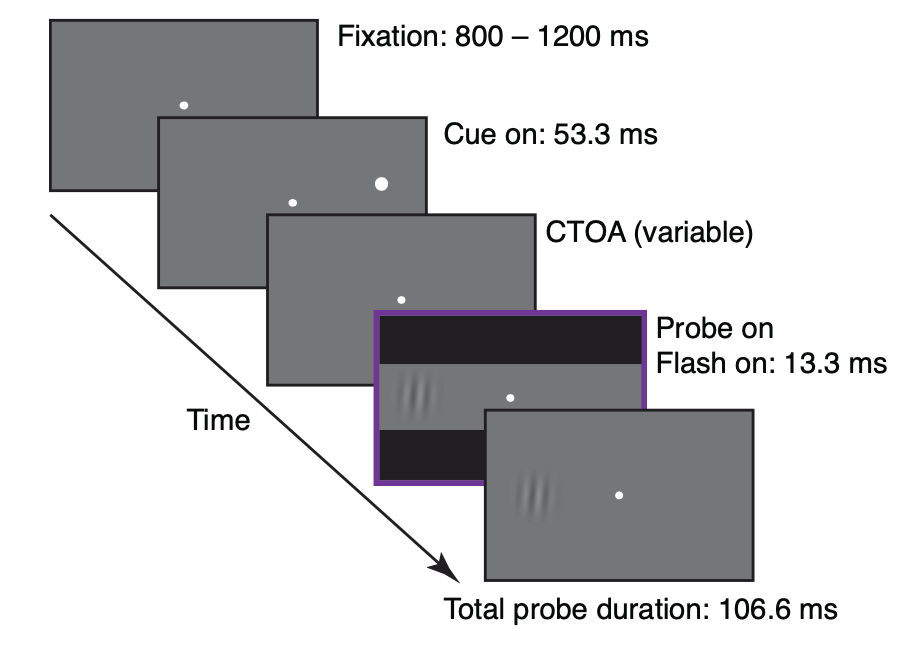 New preprint on covert shift of attention and inhibition | Dr Antimo ...
