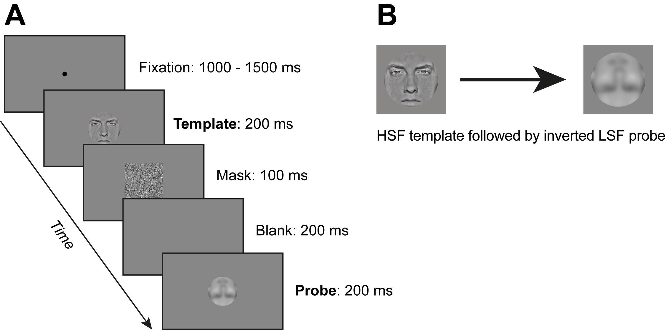 How Our Brain Recognizes Faces: Rethinking Spatial Frequency Processing | Dr Antimo Buonocore